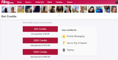 Fling.me Review: Is It Worth It? | Dating Inspector